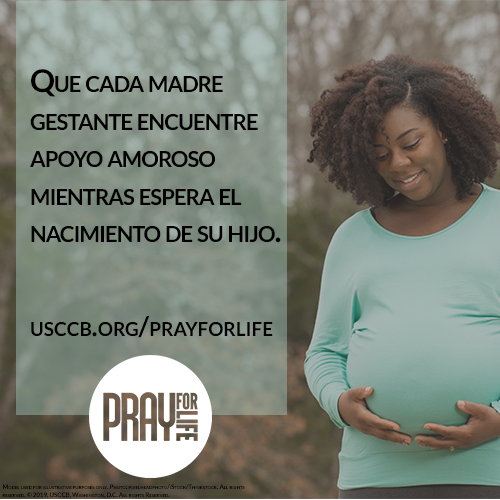 pray-for-life-december-2017-500x500-png-updated-052019-sp | USCCB