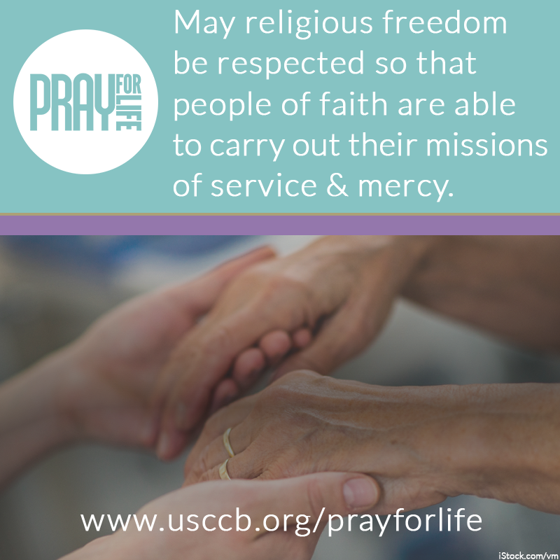 PFL-May-2017 | USCCB