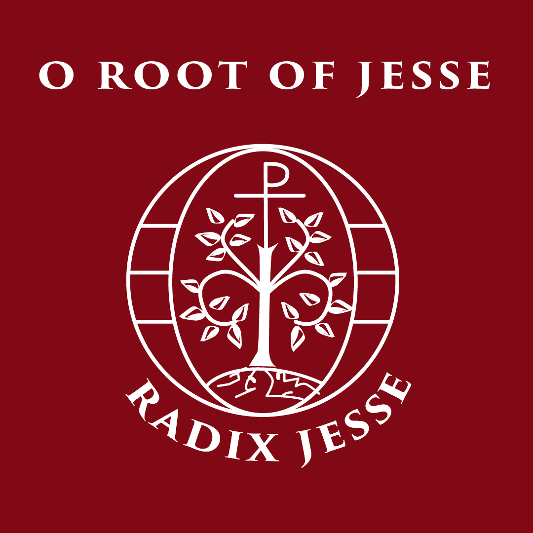 The "O Antiphons" - Social Media Graphics | USCCB